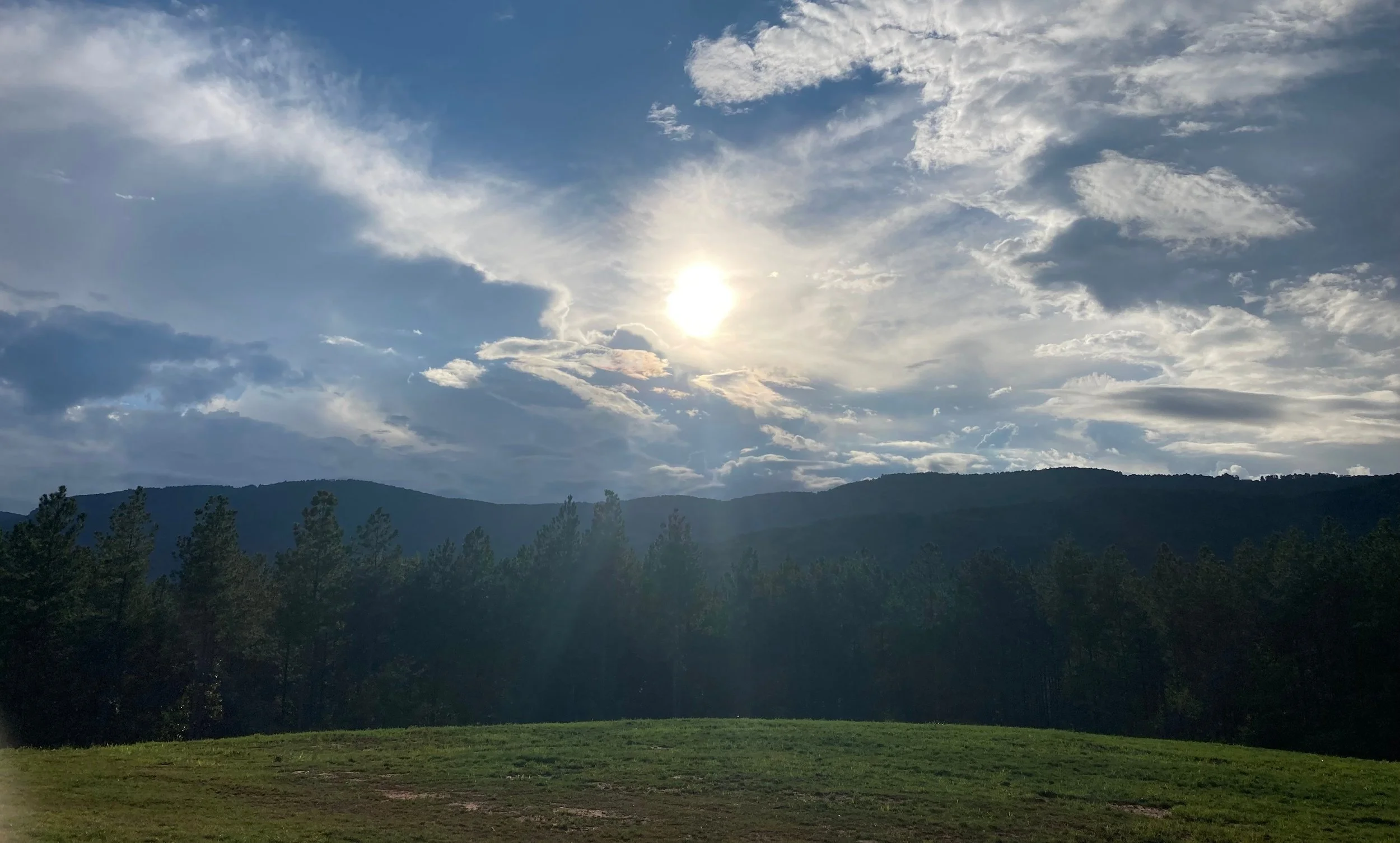 White Oak Custom Cut