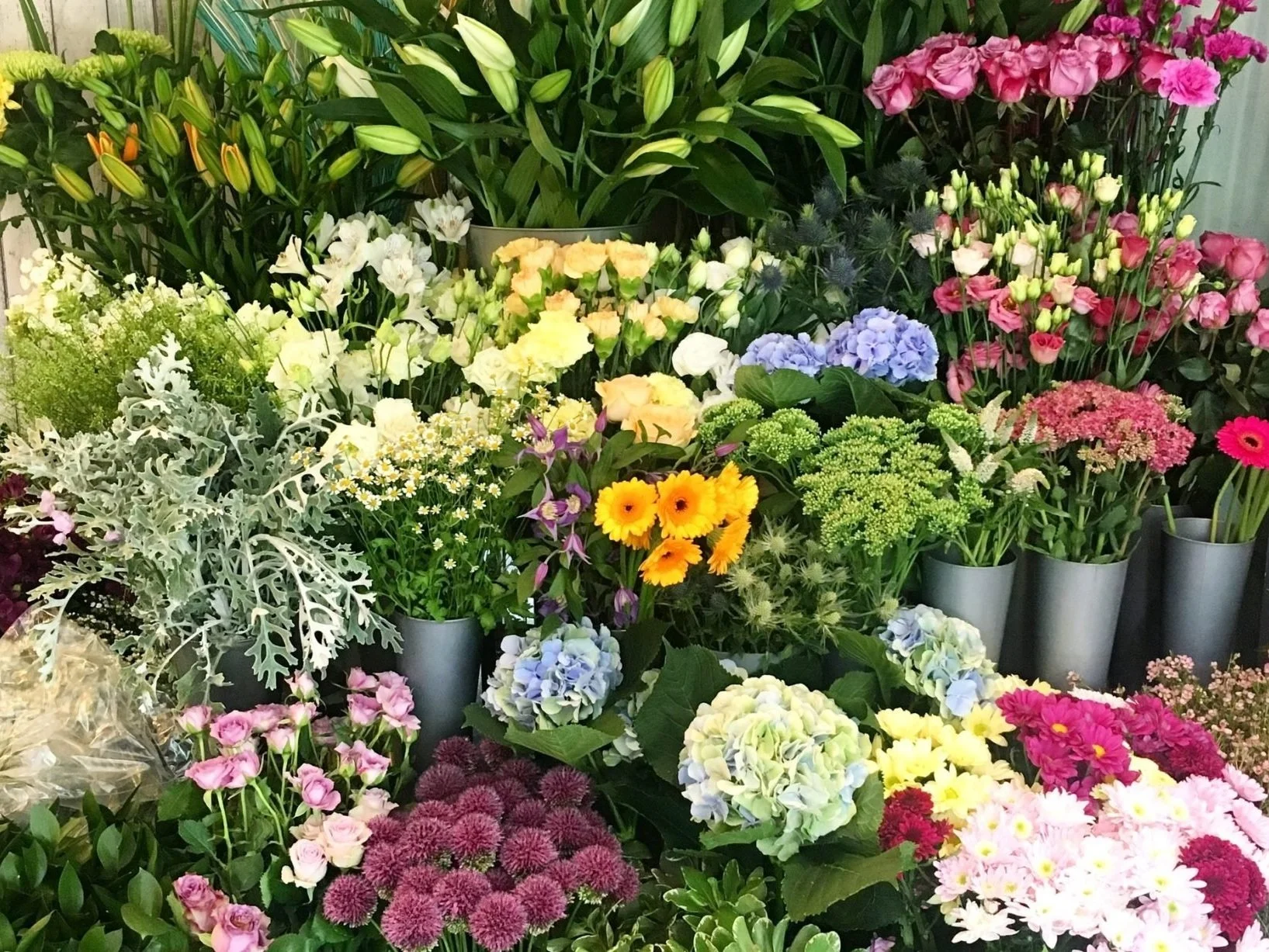 Trellis Floral — North Hills