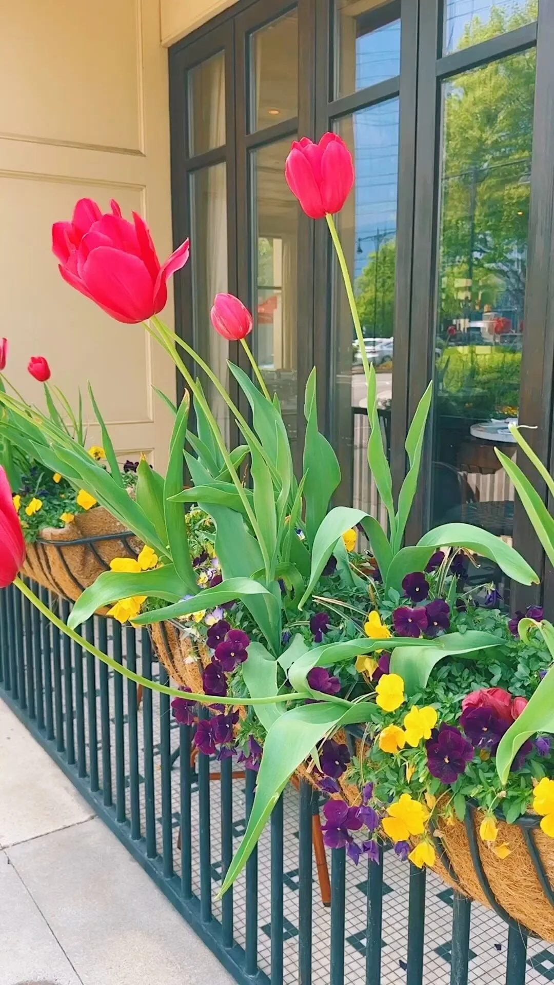 North Hills | Experience Raleigh's Midtown