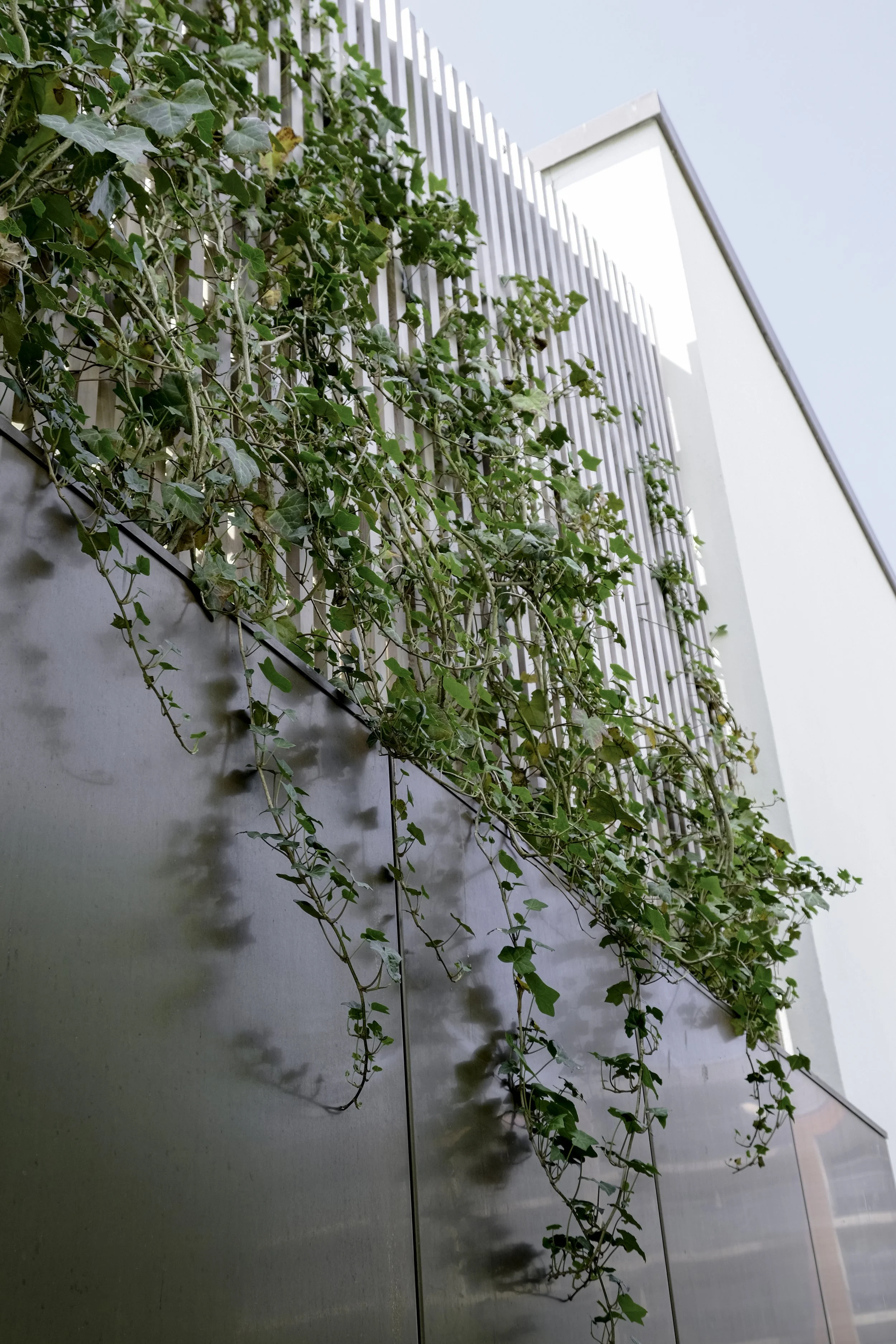RIVER FLOW HOUSE — DEAR - designarchitects