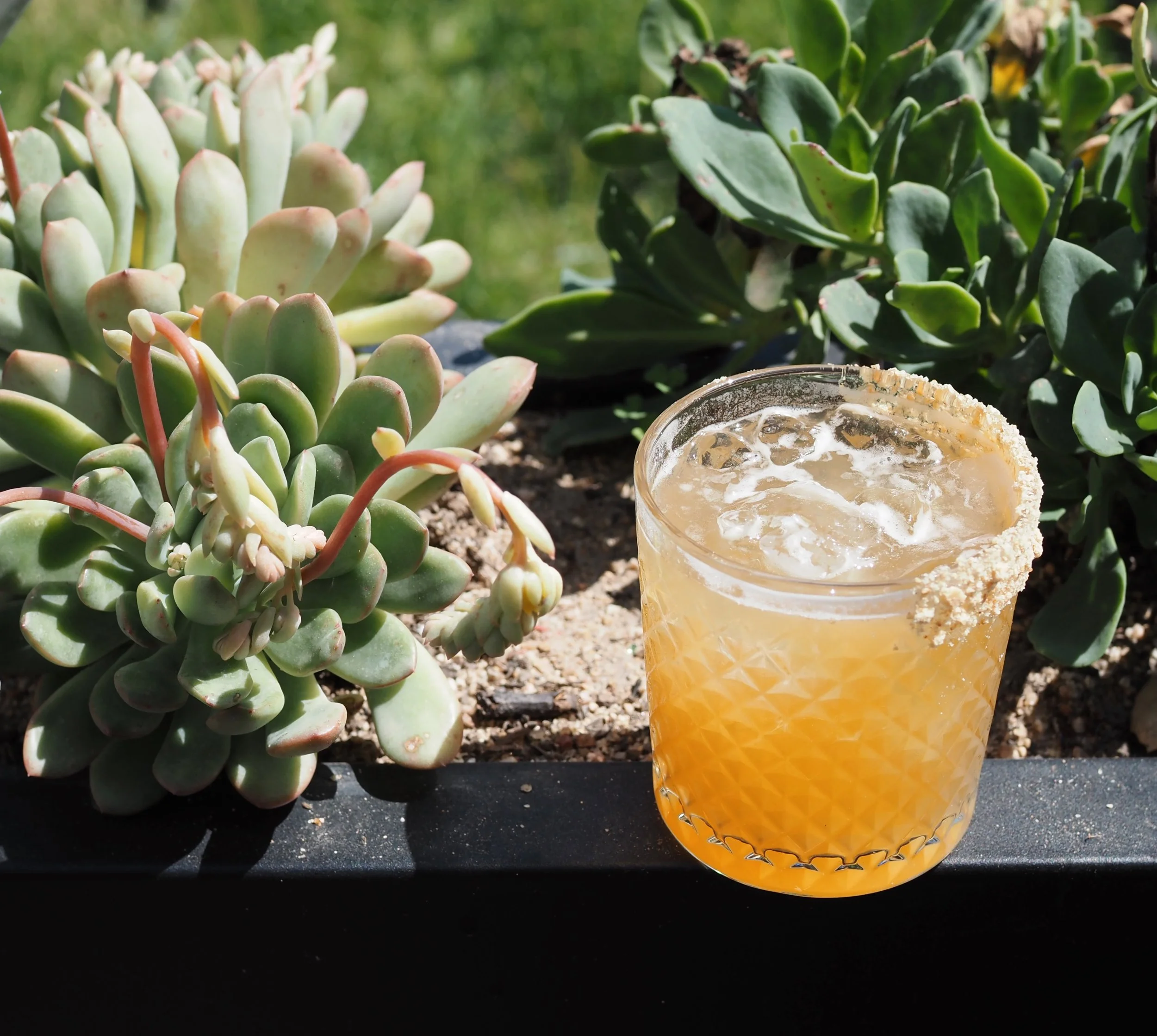 Visit — Grain + Vine