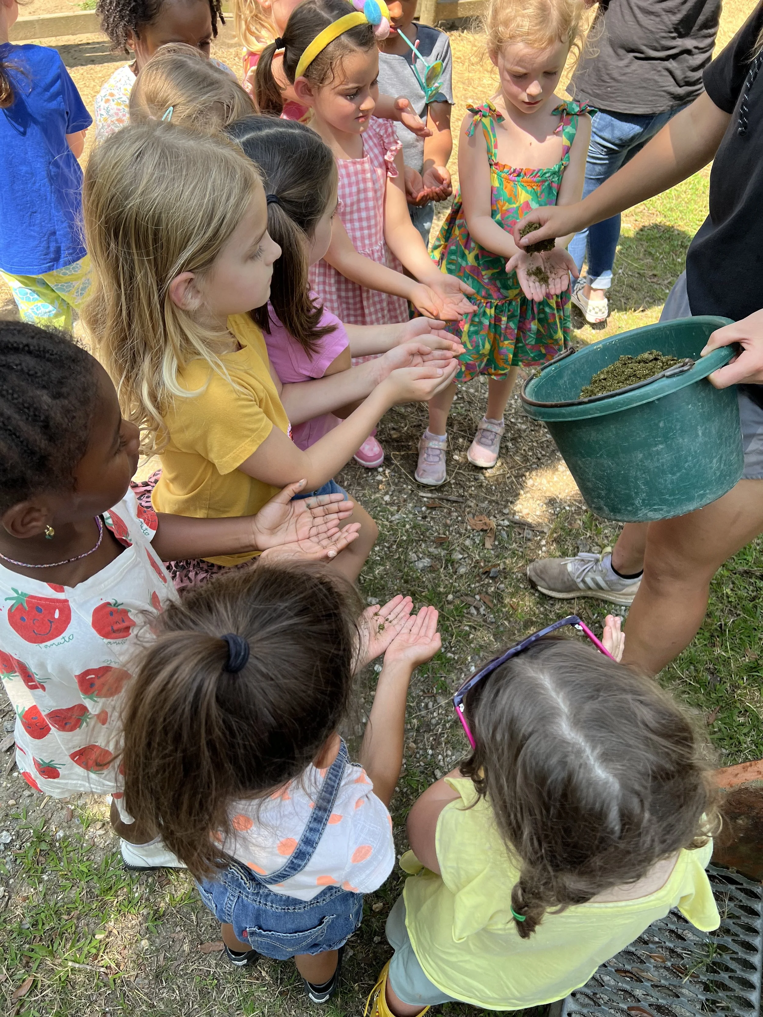 Field Trips — Sugar Roots Farm