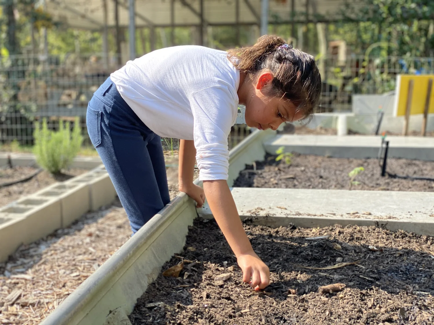 Classes — Sugar Roots Farm