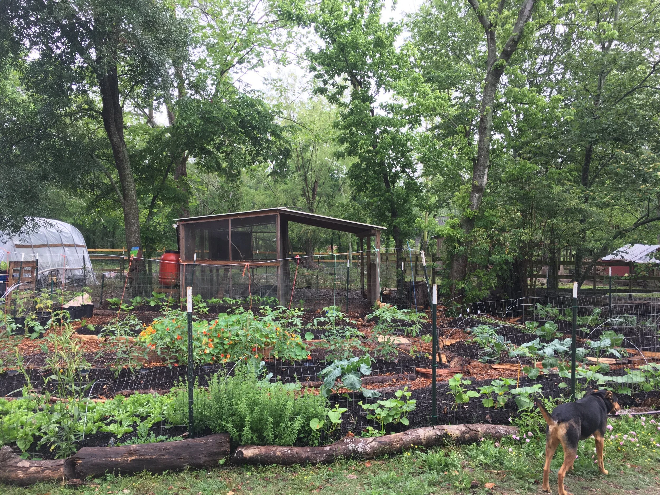 Contact Us — Sugar Roots Farm