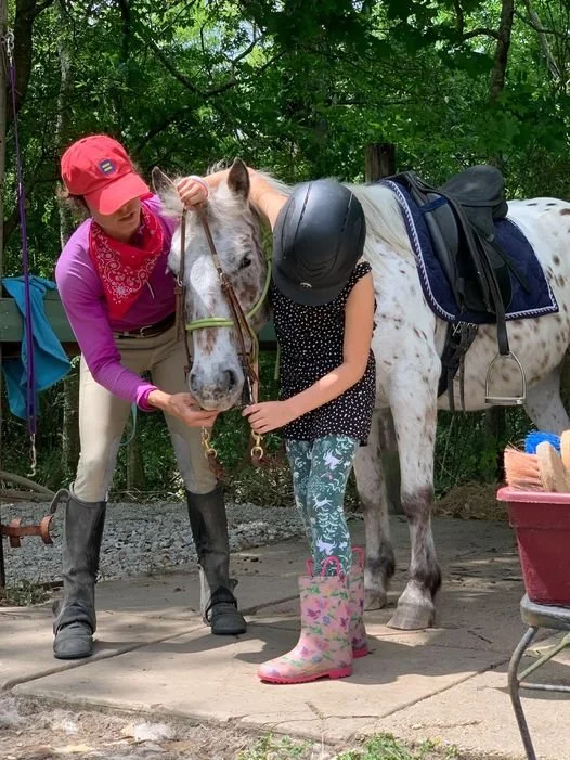 Horse Riding — Sugar Roots Farm