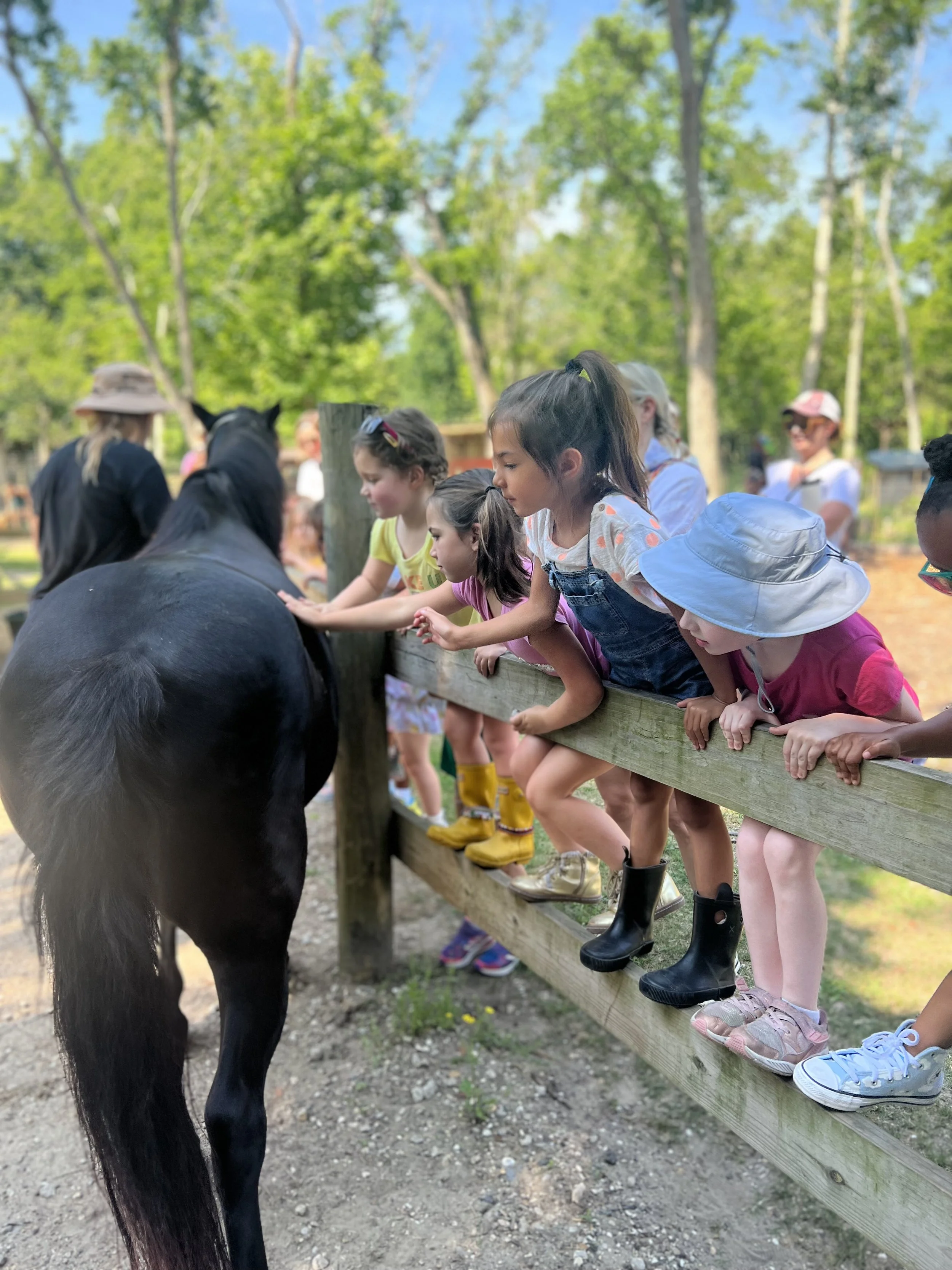 Field Trips — Sugar Roots Farm