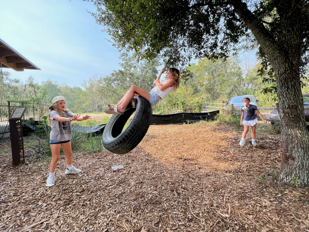 Summer Camp — Sugar Roots Farm