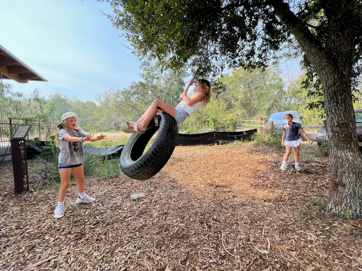 Summer Camp — Sugar Roots Farm