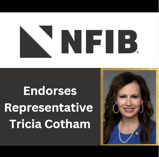Tricia Cotham for NC House