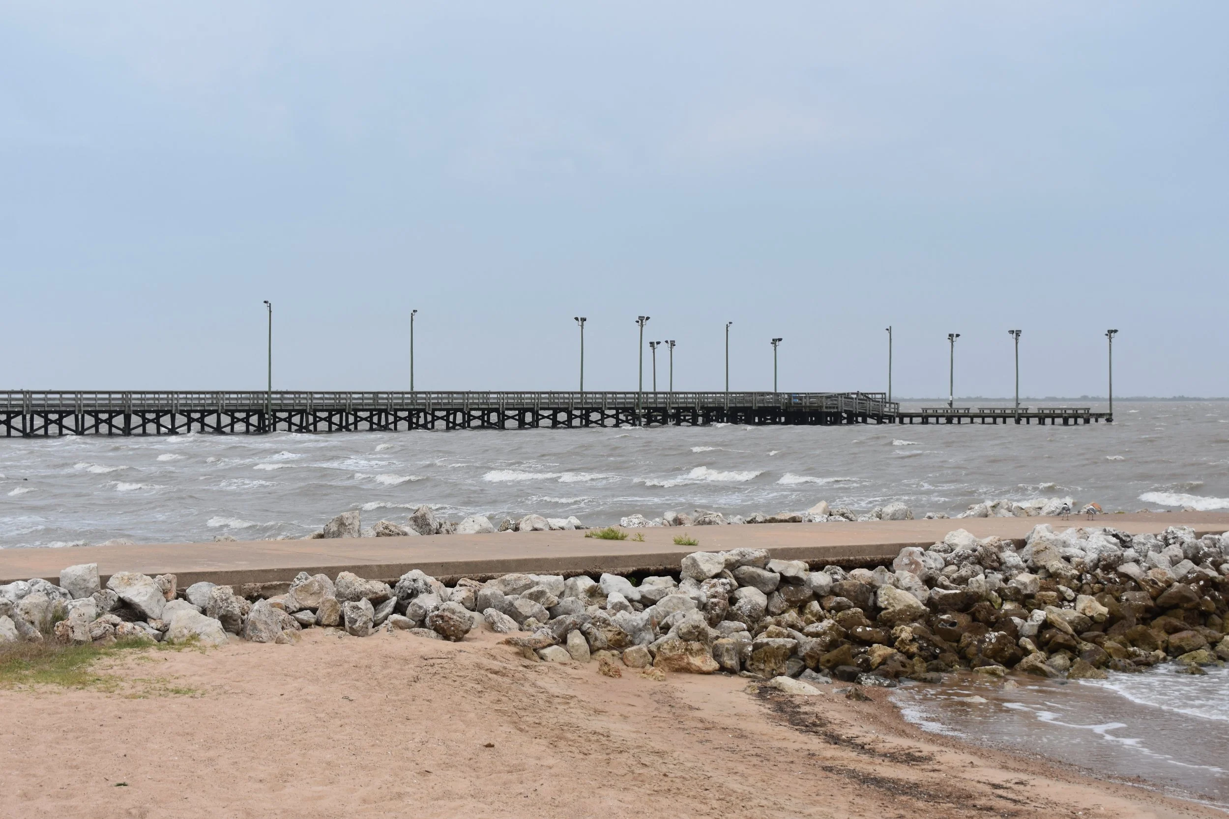 Grant Applications — The Trull Foundation