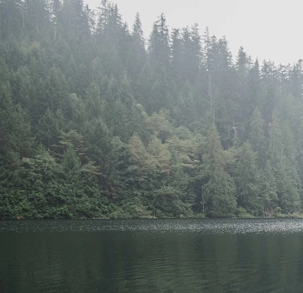 The F Word: Our Blog - Stash Wealth