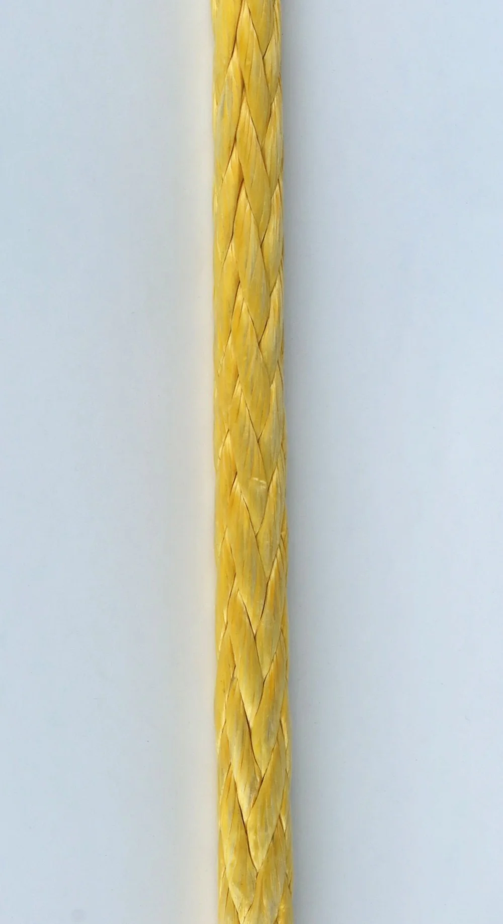 Standard 12 Strand — Gannet Nets