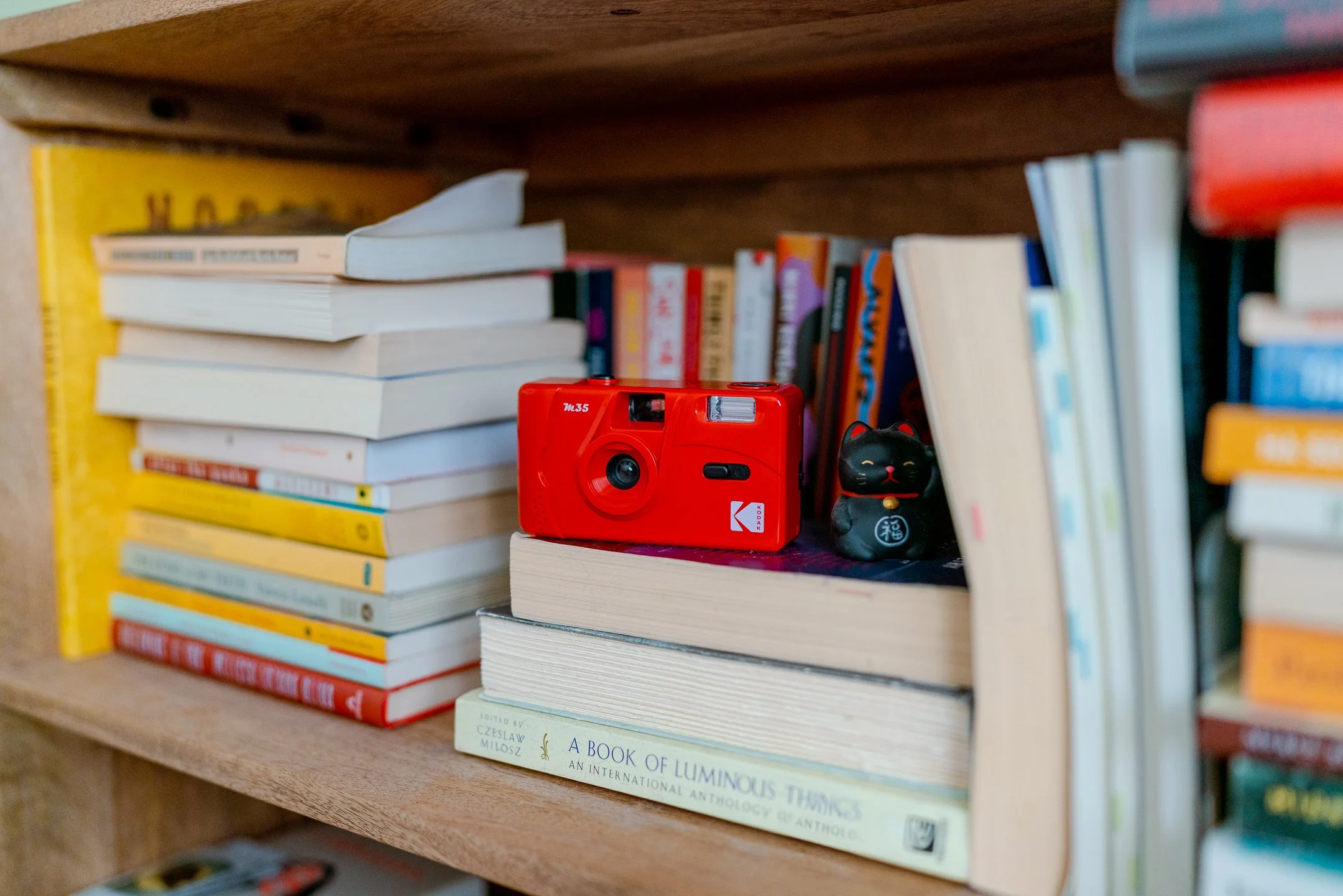 Kodak M35 Review + Sample Photos — Jicamahouse Photo