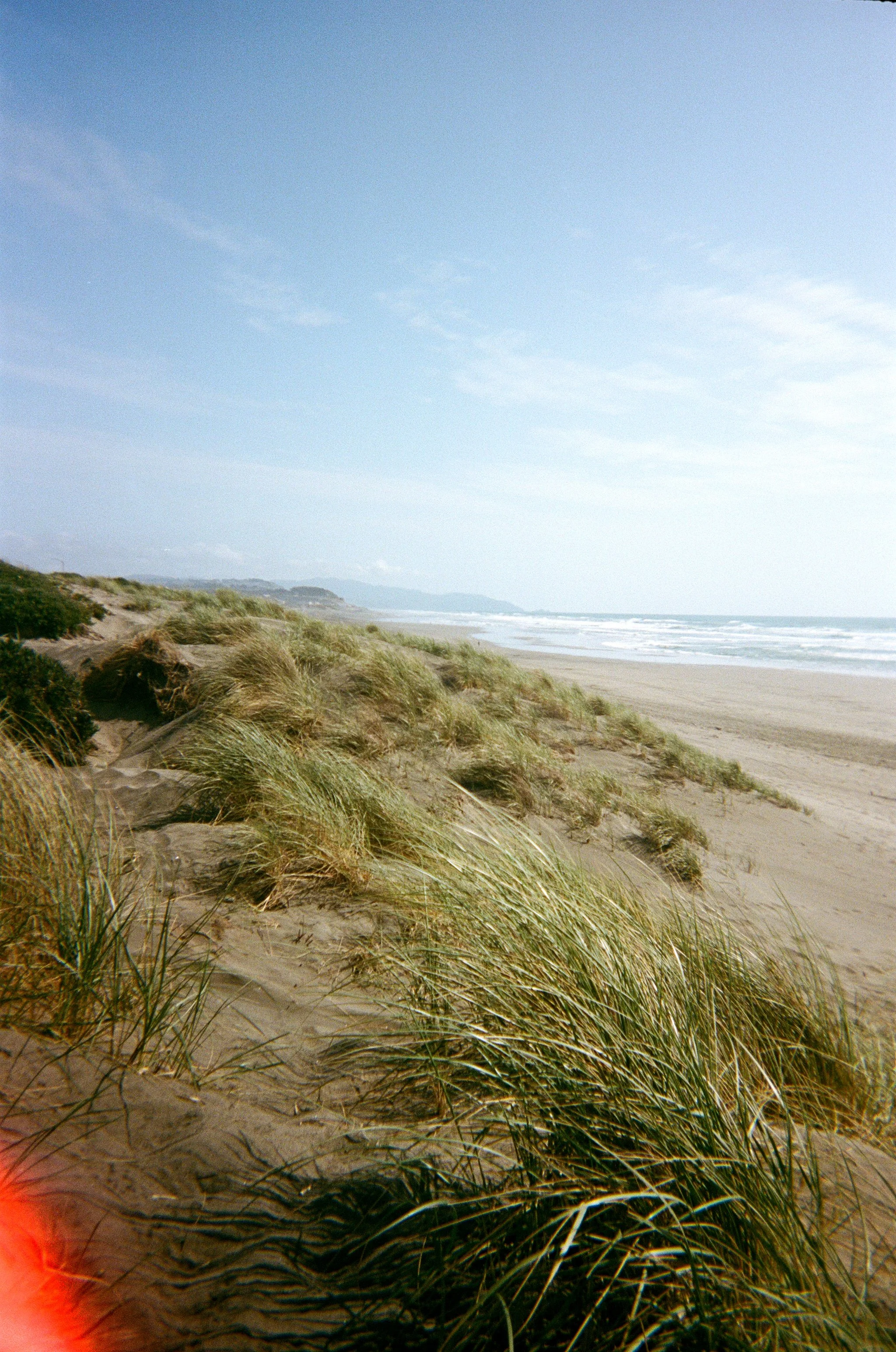 Heyday 35mm Camera Review + Sample Photos — Jicamahouse Photo