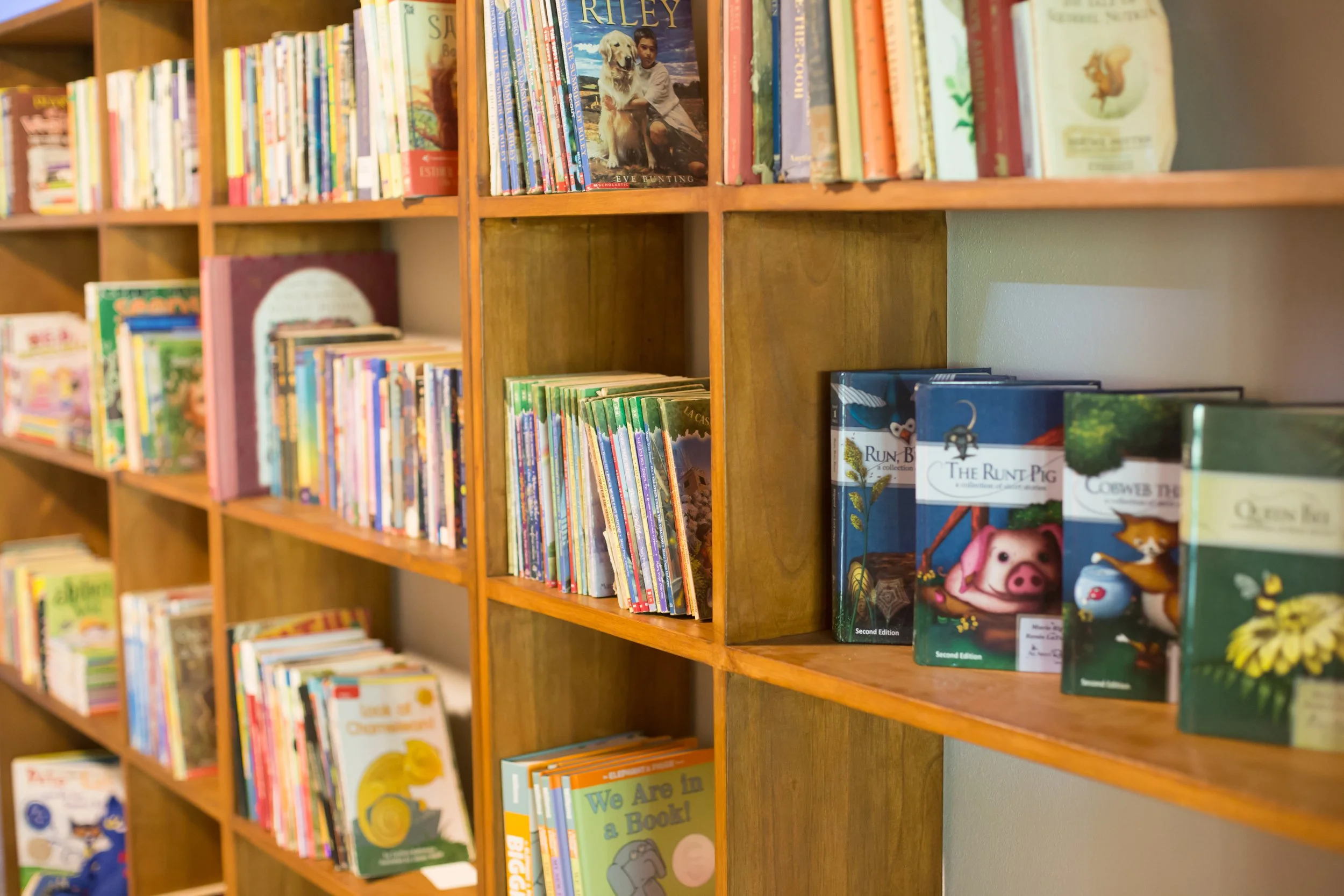 Early Years Education (4-9) | LPE | School | Ojochal, Costa Rica