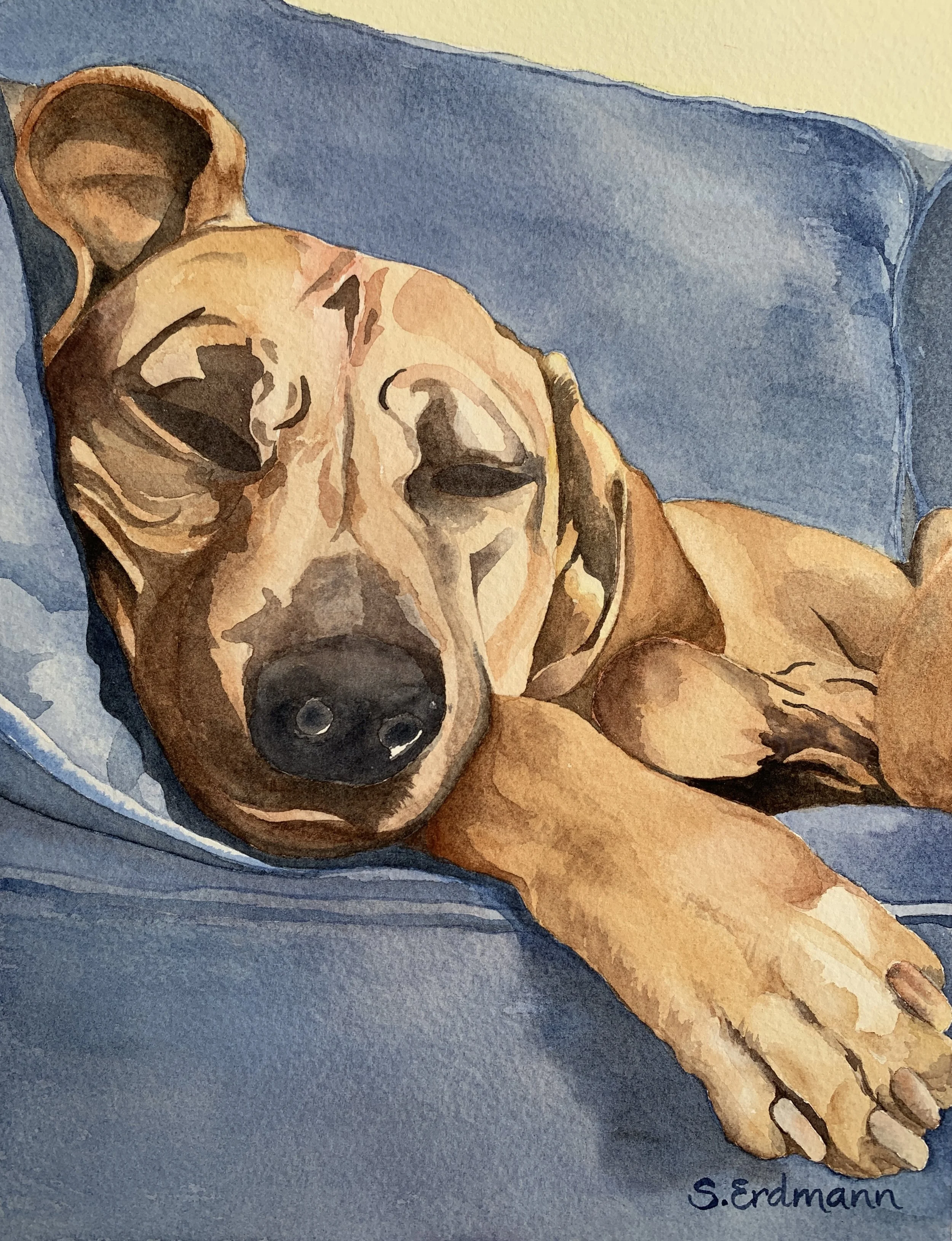 Stephanie Erdmann Art | Watercolor Wildlife & Custom Pet Portraits