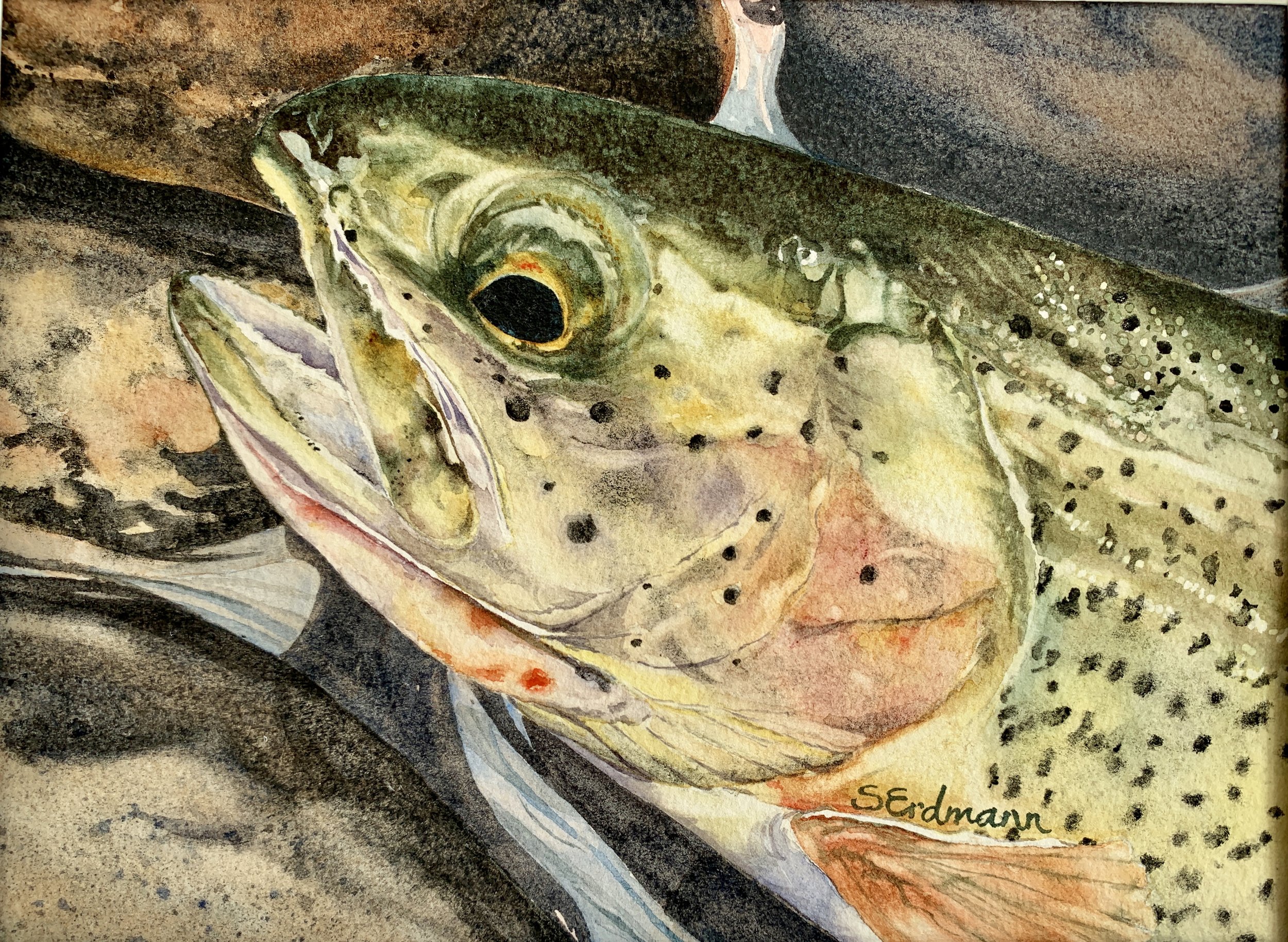 Stephanie Erdmann Art | Watercolor Wildlife & Custom Pet Portraits