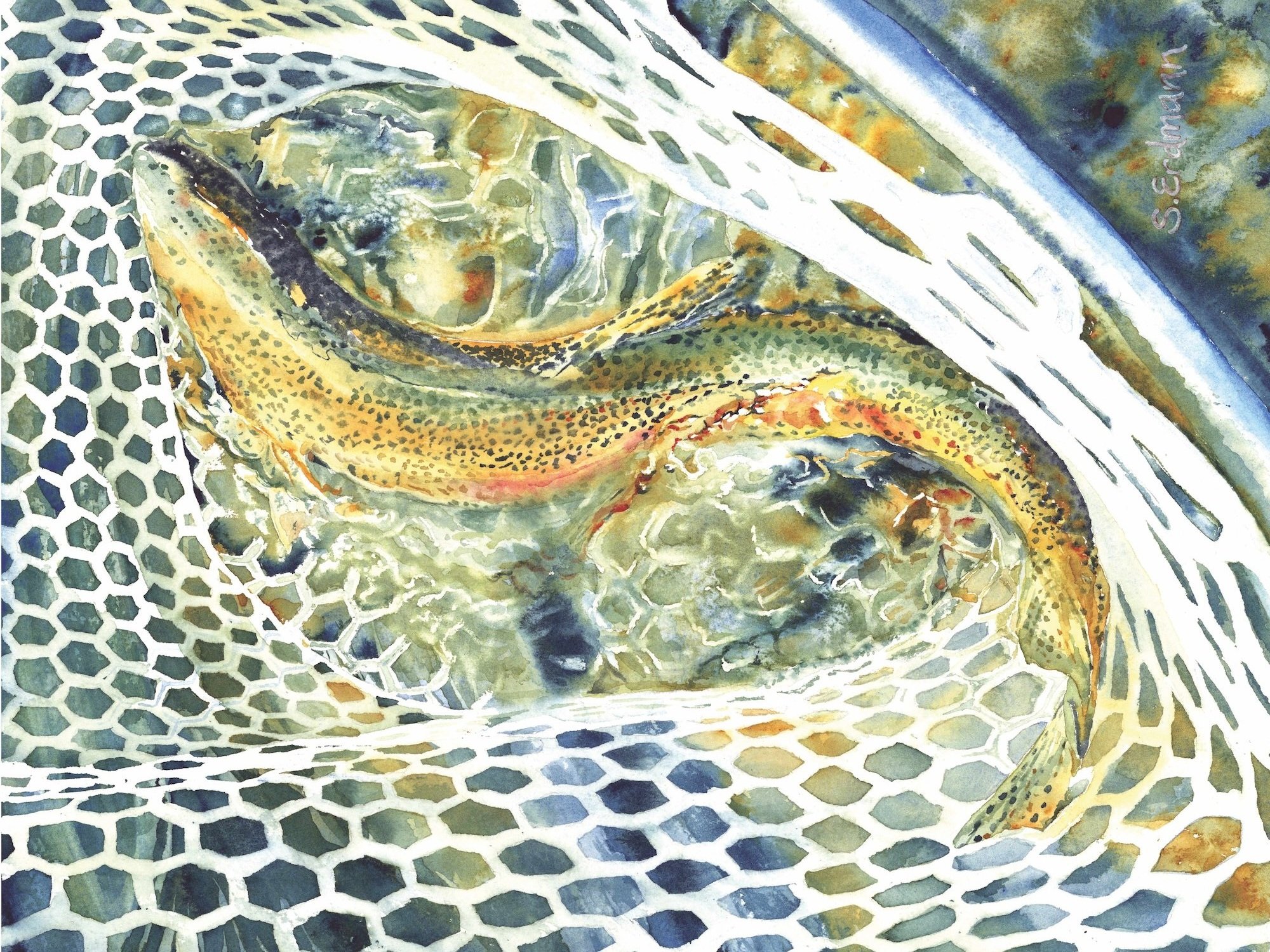 Fishing & Wildlife Gallery | Stephanie Erdmann Art