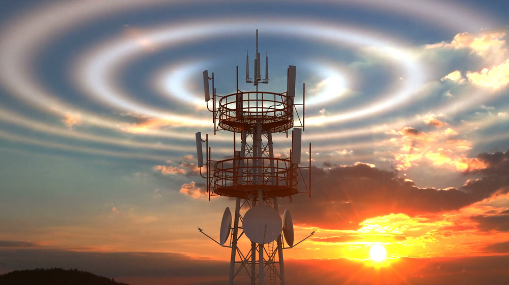 Creating Safe EMF Environments