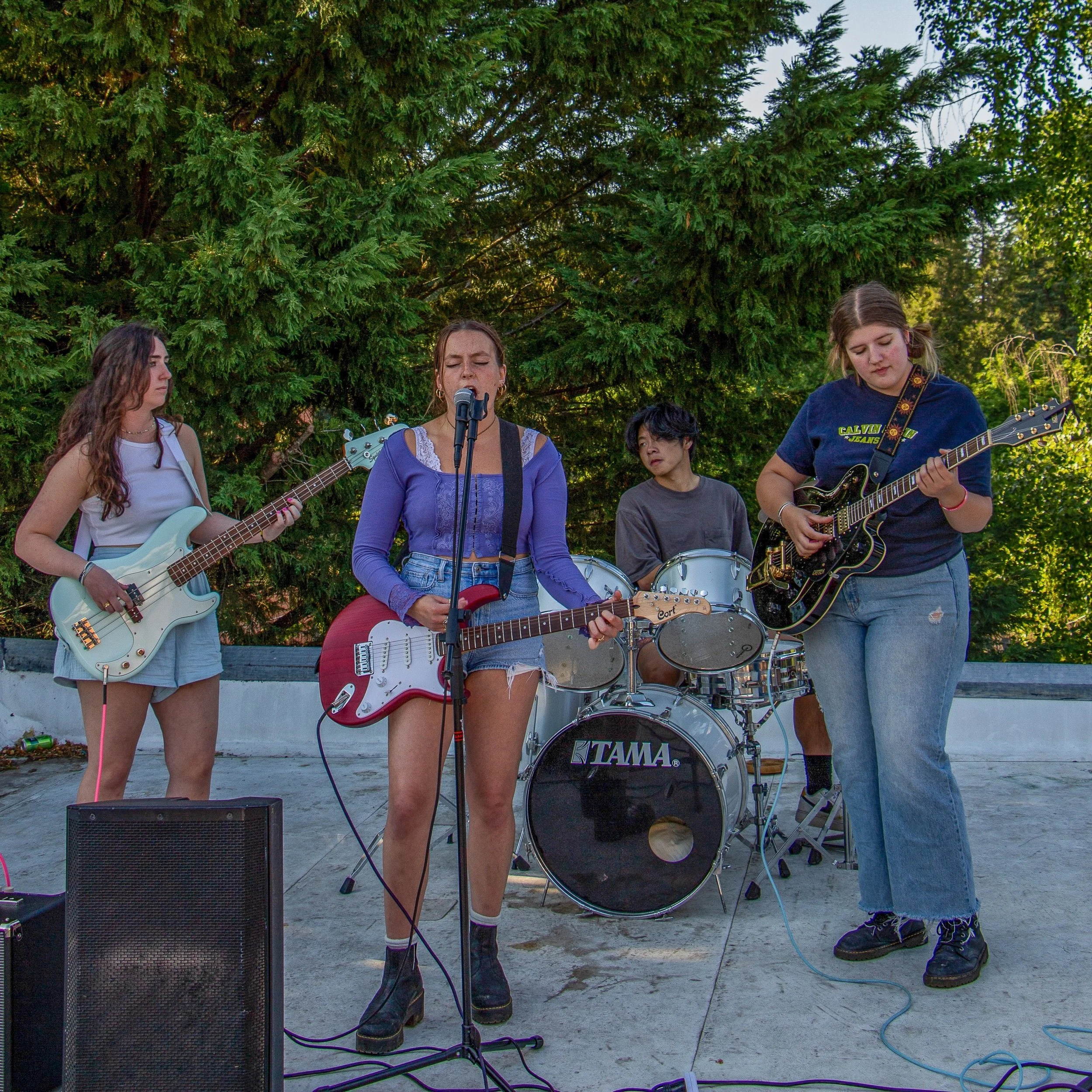 The Pink Door — KWVA Music Blog