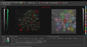 Cell-ACDC — Schmoller Lab