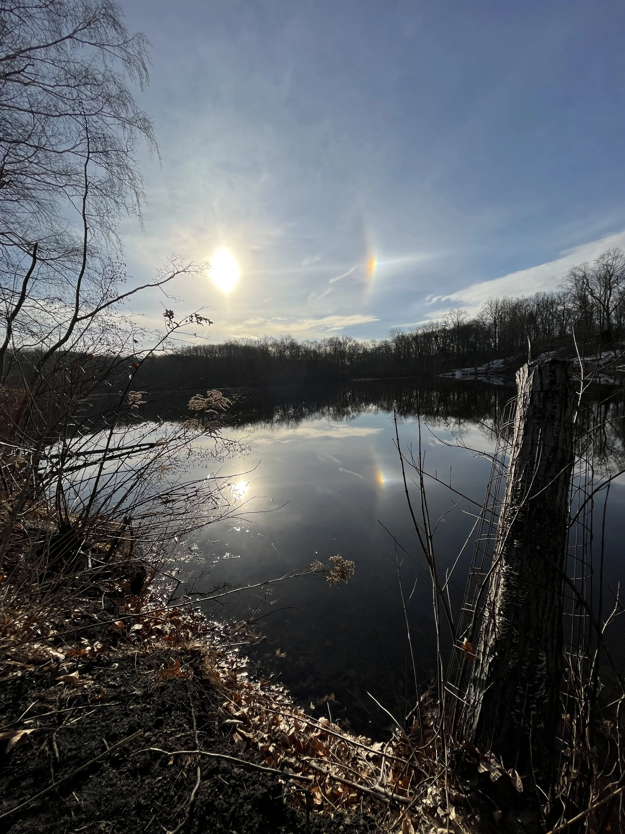 Asher Pandjiris Psychotherapy and Consulting