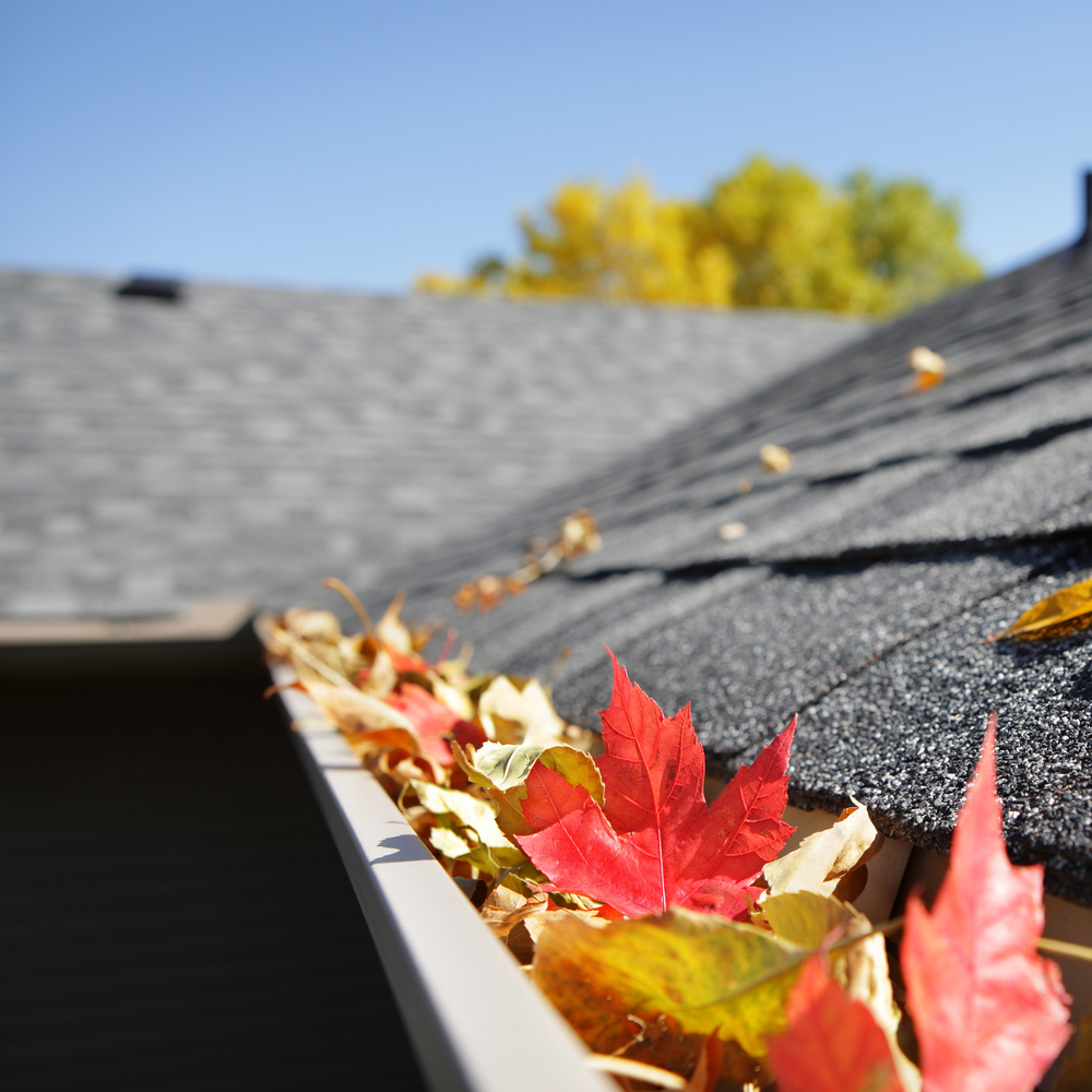 Gutter Cleanouts & Repairs — Servall Gutter Co.