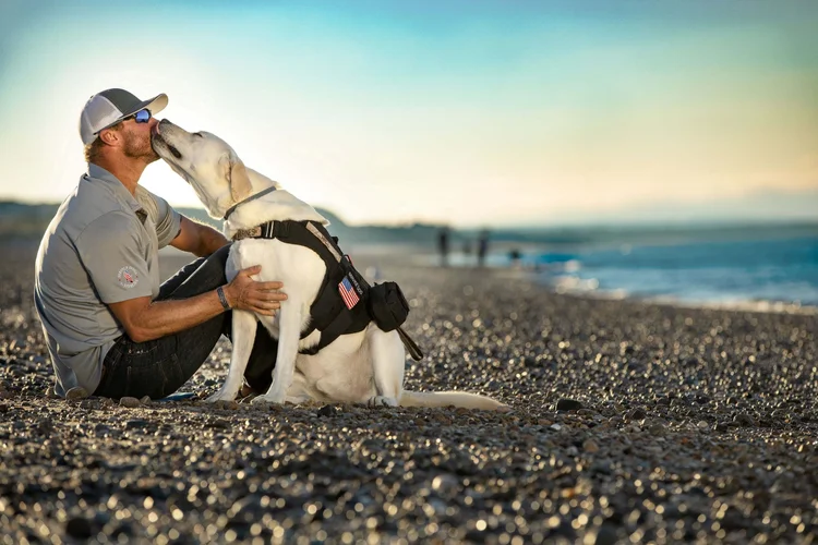 Contact Our Team — Sierra Delta