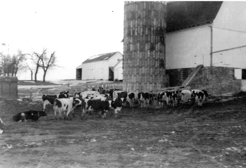 Our Story — Pond View Barn
