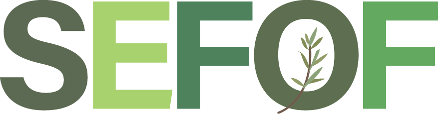SEFOF 2024