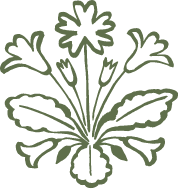 Our Gallery- The Audrey Southpointe Event Center & Wedding Venue — The Audrey