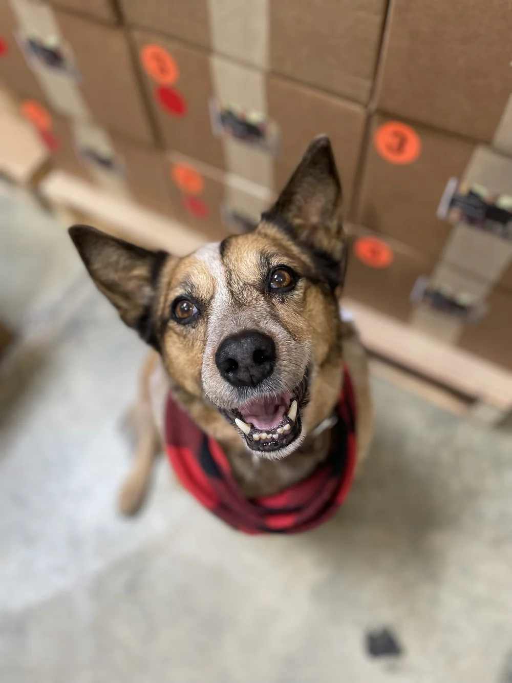 Our Team — Art in Action