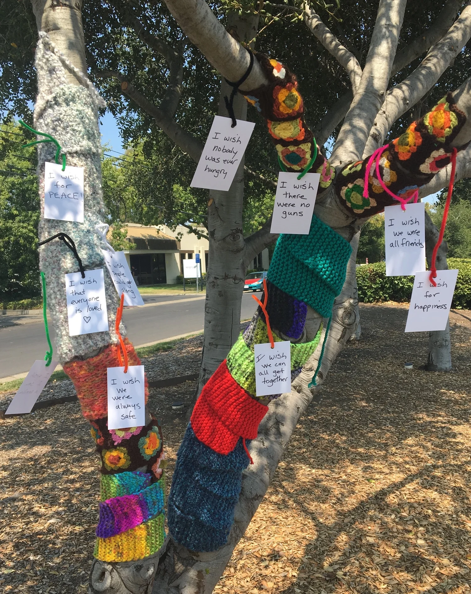 Teaching SEL With Wish Trees: Gratitude & Empathy in Action — Art in Action