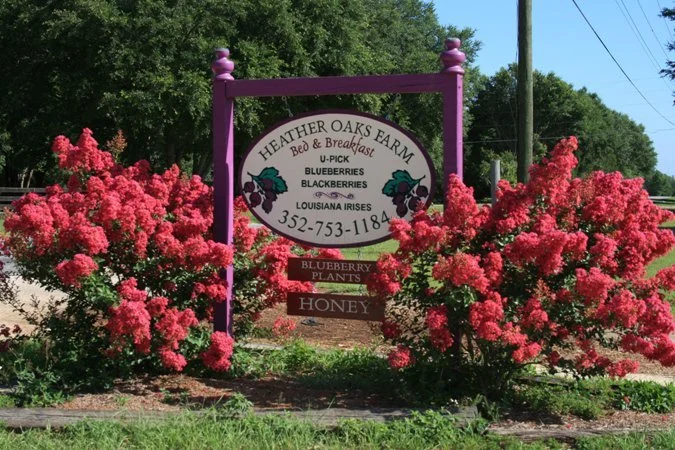 HEATHER OAKS FARM IS A HARBOR HILLS FAVORITE BY NIKKI HOFFMAN — Harbor ...
