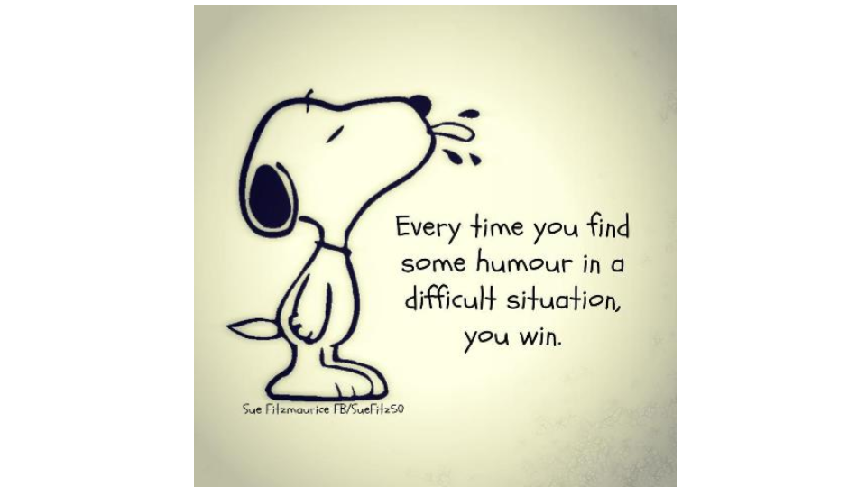 SYBF Week 2 Wrap Up: Harness Humor — Vibrant Iris Consulting