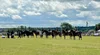 Visit Us — Blakesley Show