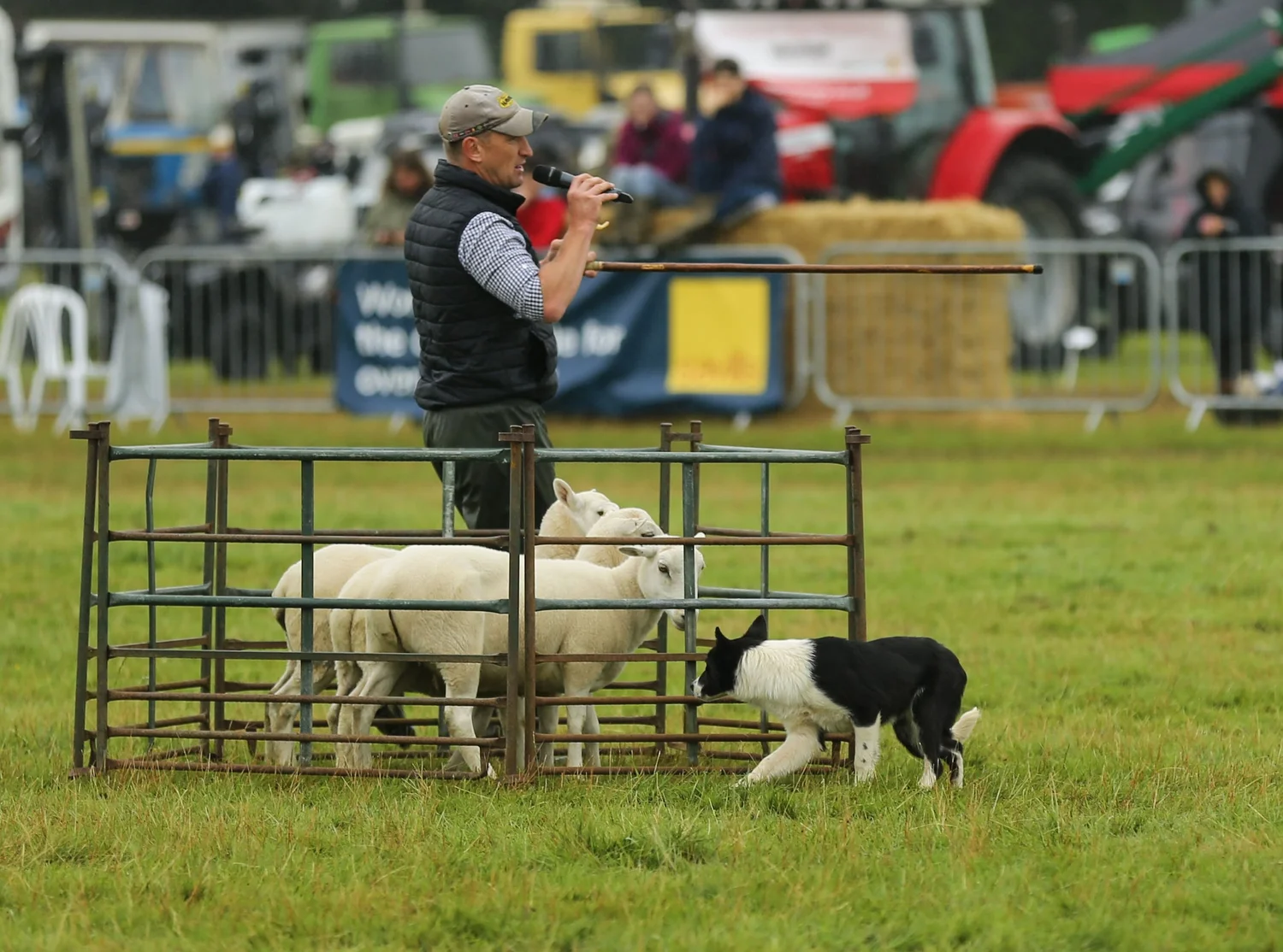 Gallery — Blakesley Show