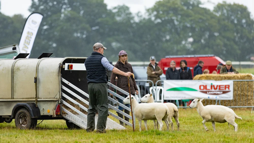 Gallery — Blakesley Show