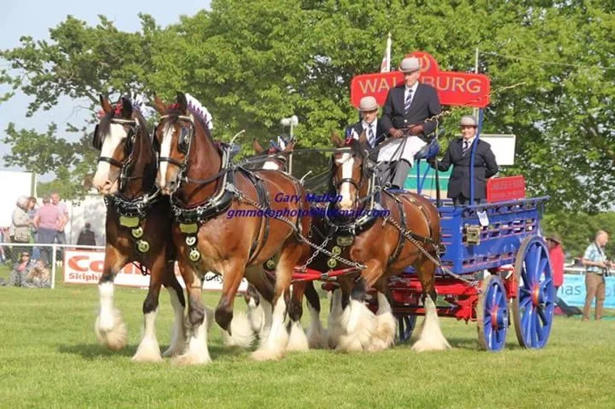 Visit Us — Blakesley Show