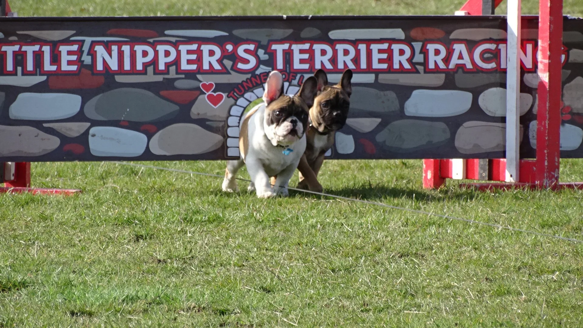 Visit Us — Blakesley Show