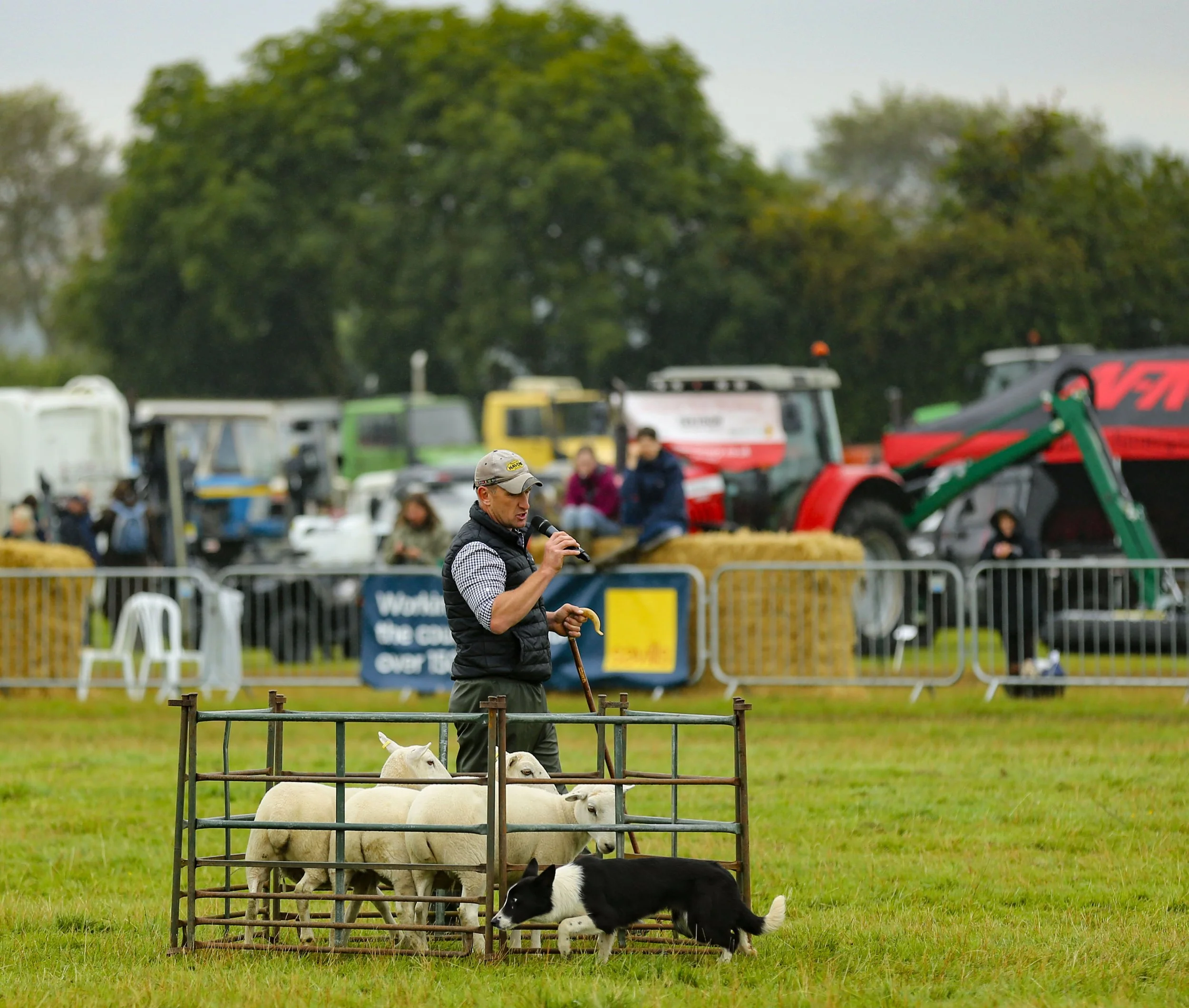 Gallery — Blakesley Show