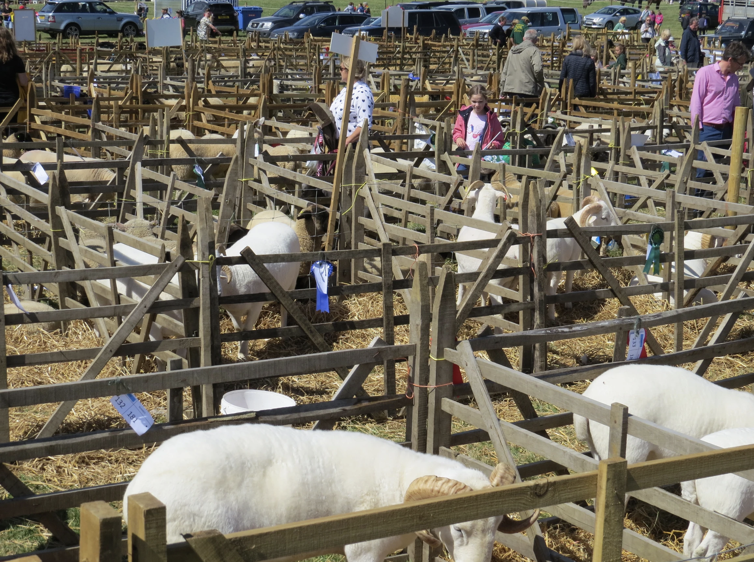 Visit Us — Blakesley Show
