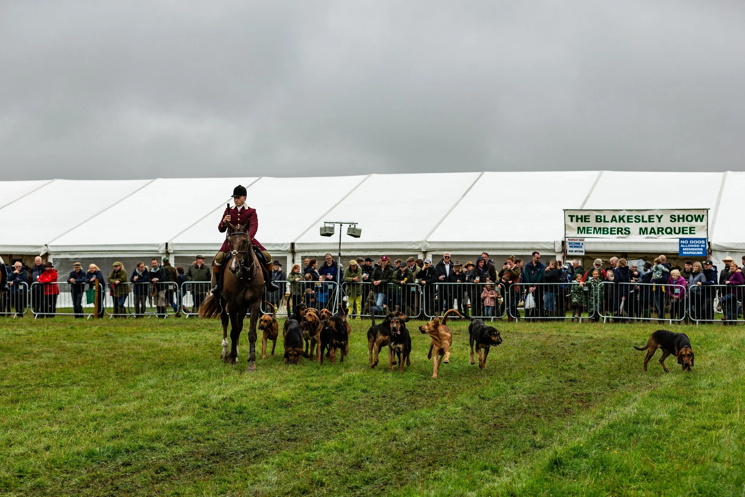 Gallery — Blakesley Show