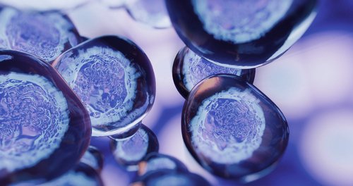 Community Compounding Pharmacy | Portland Oregon