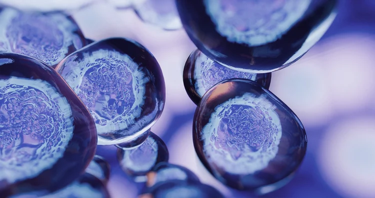 Community Compounding Pharmacy | Portland Oregon