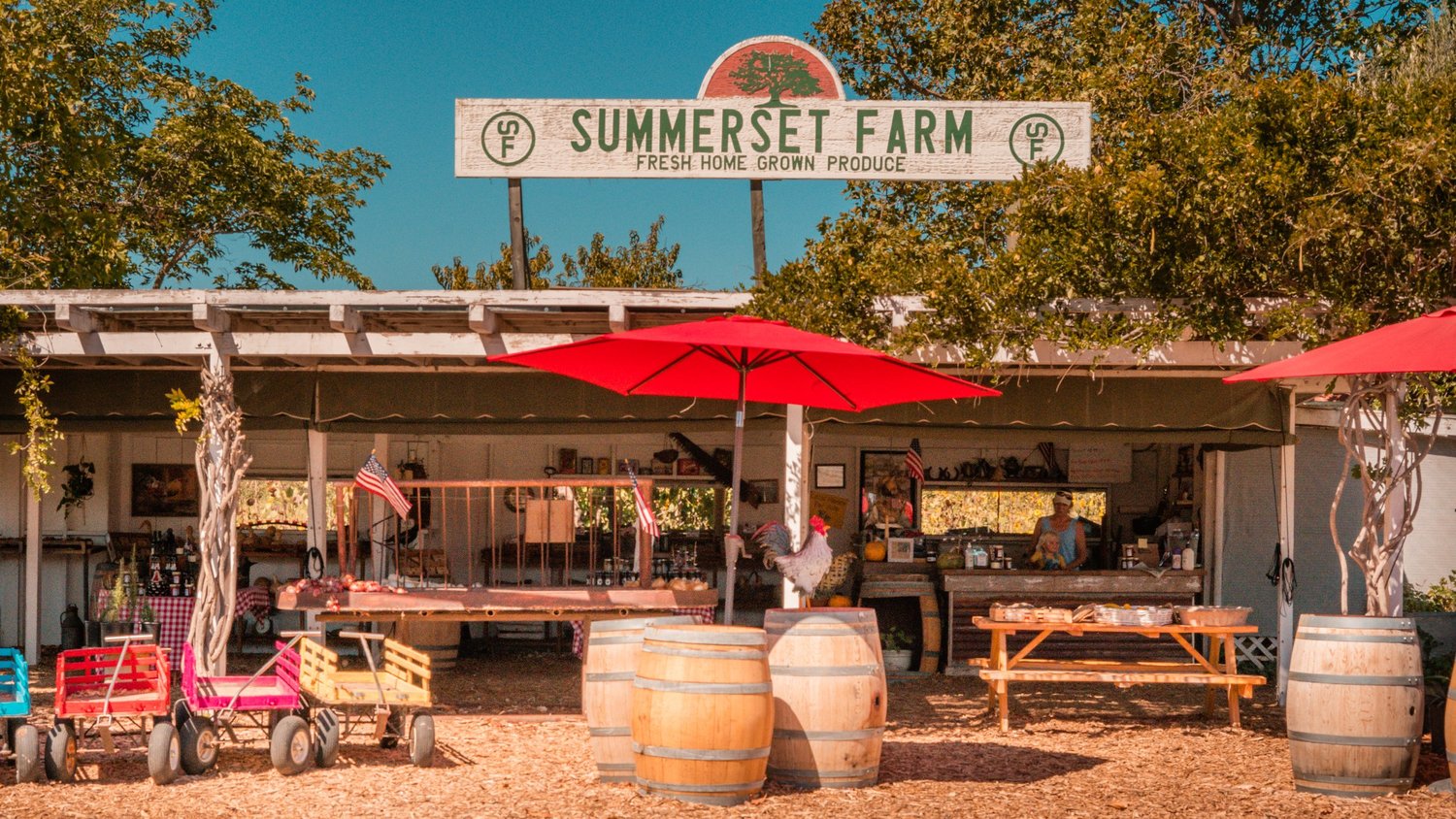 Summerset Farm
