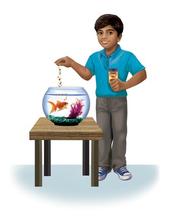 Job Charts — PicDiversity