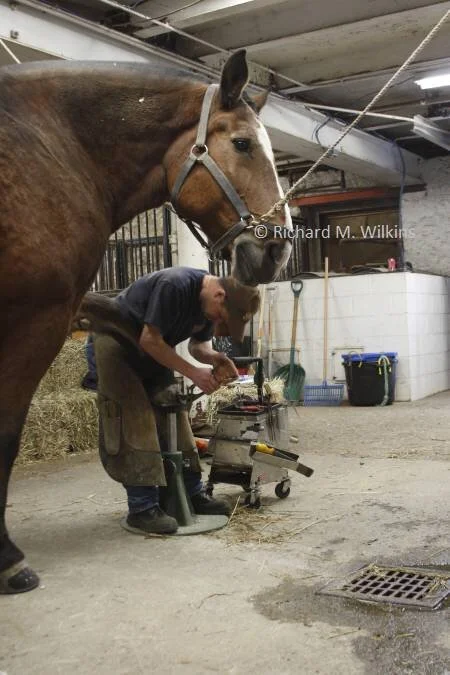 Brandegee Estate and Boston Mounted Police Unit — Jamaica Plain ...