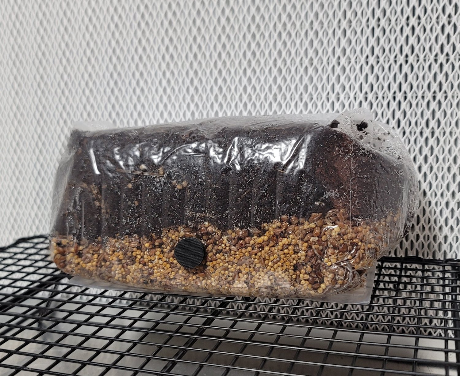 Shop — Myco-Op - Mycology Supplier and Consultant