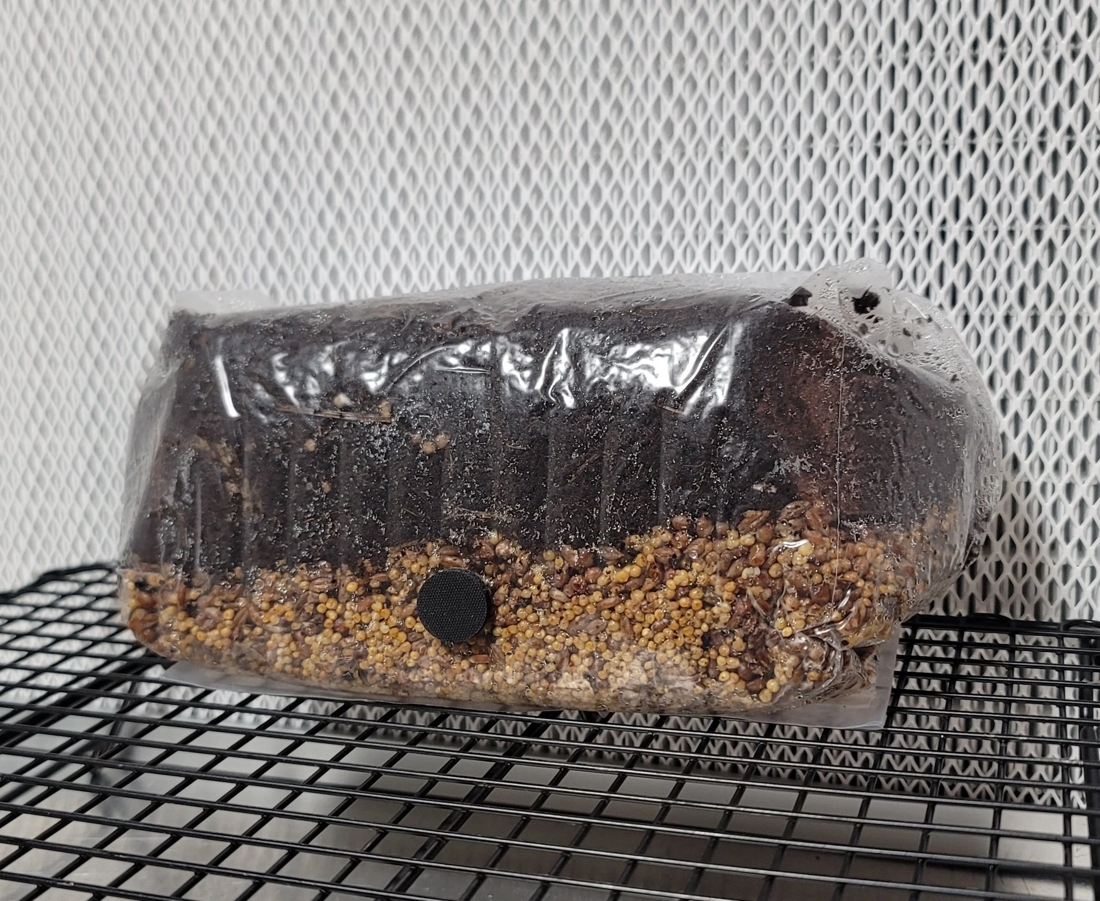 Shop — Myco-Op - Mycology Supplier and Consultant